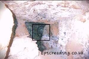 Ted the Caver: A Descent into Darkness | Epic Reading