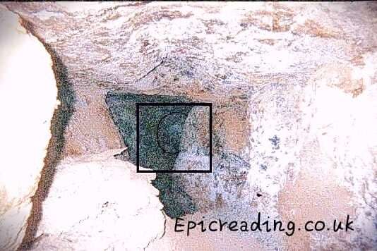 Ted the Caver: A Descent into Darkness | Epic Reading